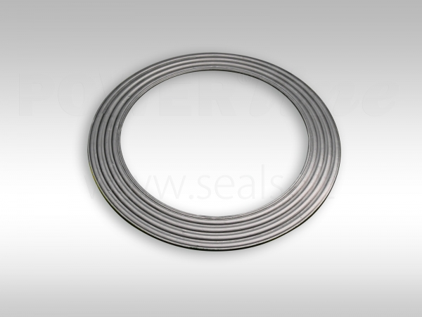 Gaskets for heat exchangers - Dynagraph | tesneni.cz